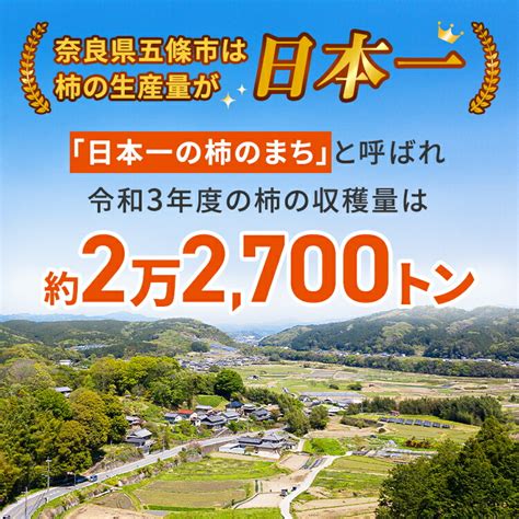 【楽天市場】【ふるさと納税】【 令和 7年分 先行 予約 】 訳あり 富有柿 ご自宅用（約75kg入） Sunファーム フルーツ