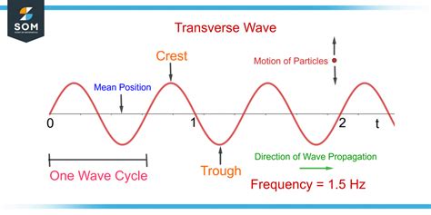 Frequency Definition And Meaning