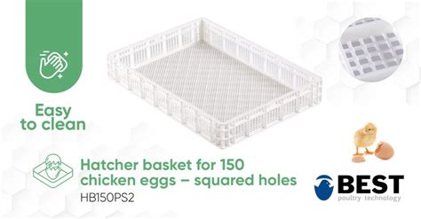 Best Bestpoultrytechnology Poultry Hatchery Equipment Incubator