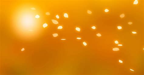 What Is Animism Definition And Examples