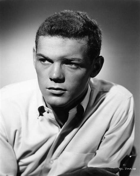 Handsome Portrait Photos Of James Macarthur In The 1950s And 60s