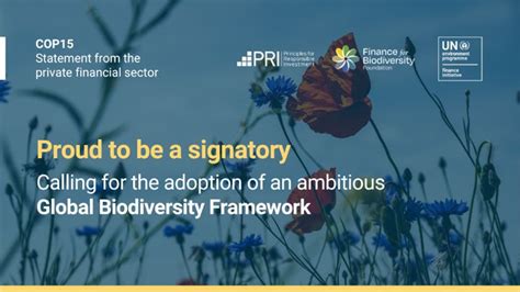 Cop15statement Cop15 Gbf Globalbiodiversityframework Capital