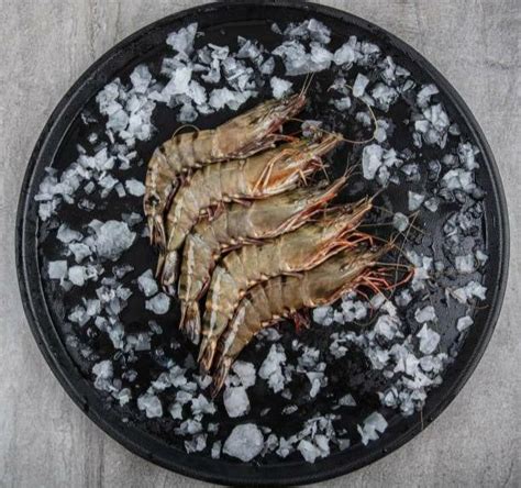 Shrimp And Prawn Similarities And Differences Shrimps