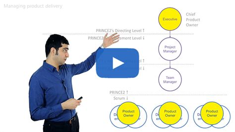 Prince Agile Practitioner Online Course And Exam