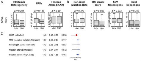 Cd8 T Cell Score Correlation To Measures Of Tumor Mutational Burden Download Scientific