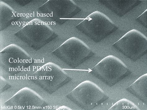 Fabricated Microlenses And Xerogel Sensors Download Scientific Diagram
