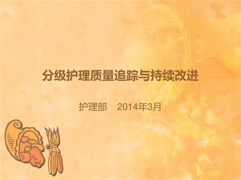 分级护理质量追踪与持续改进word文档在线阅读与下载免费文档