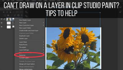 How To Import An Image Sequence Clip Studio Paint
