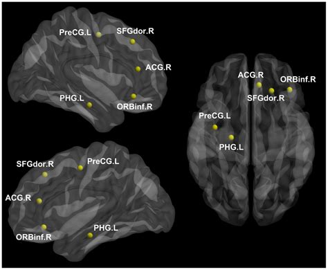 Significant Interactions Nodal Centrality Differences Between Gender Download Scientific