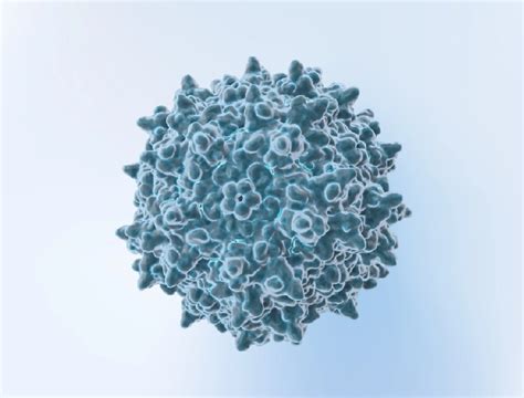 Fda Proposes New Faster Approval Process For Ultra Rare Disease