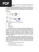 Understanding Biomagnification Class 10th Pdf Environmental Issues