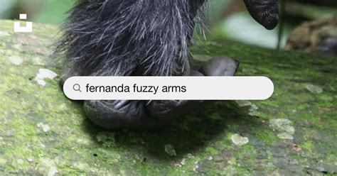 Fernanda Fuzzy Arms Pictures Download Free Images On Unsplash