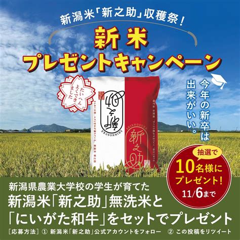 新潟の新しいお米新之助公式 on Twitter 新潟米新之助収穫祭 新米プレゼントキャンペーン 新之助の新米