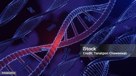 Dna Spiral Structure Dna Helix Complementary Strand Of Sequences