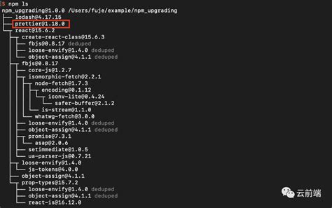 Package Json Csdn
