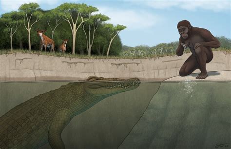 Hey Muyinteresante Christianperez My Illustration Of Crocodylus