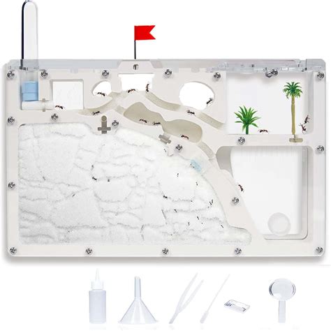 Ant Farm Castle Large Viewing Area Care For Live Ants