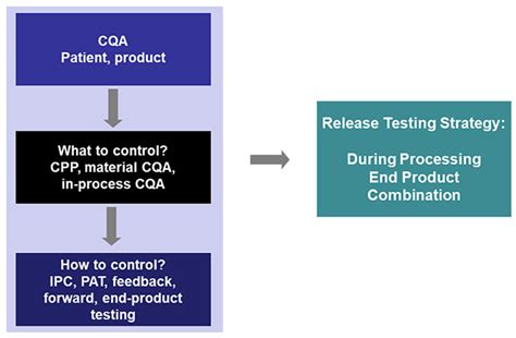 Is Real Time Release Testing And Certification By The Qp The Next Generation Process Gmp Journal