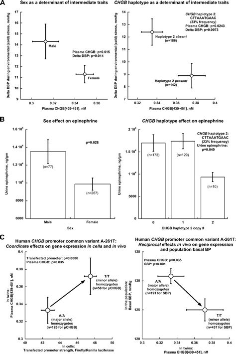 Autonomic Function In Hypertension Circulation Cardiovascular Genetics