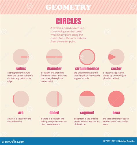 Geometry Of A Circle Stock Vector Illustration Of Colorful 78071777
