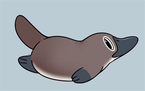 Chibi Platypus