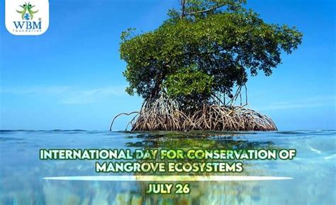 International Day For The Conservation Of The Mangrove Ecosystems 26th