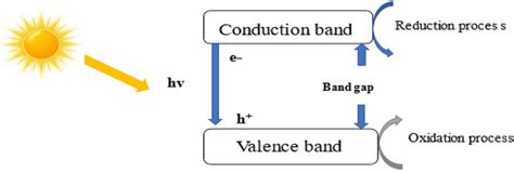 Schematic Representation Of The Photocatalysis Process Download Scientific Diagram