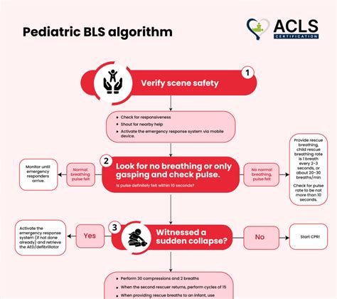 Adult Bls Algorithm Aclsnow