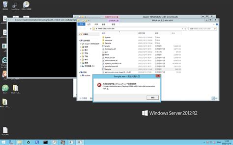 新下载480版本maa启动时报错 无法加载 Maacoredll” · Issue 3083 · Maaassistantarknightsmaaassistantarknights