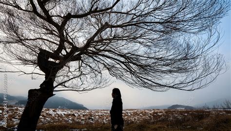 Foto 겨울철 나뭇잎이 없는 가지 아래 혼자 서 있는 사람의 실루엣 Do Stock Adobe Stock