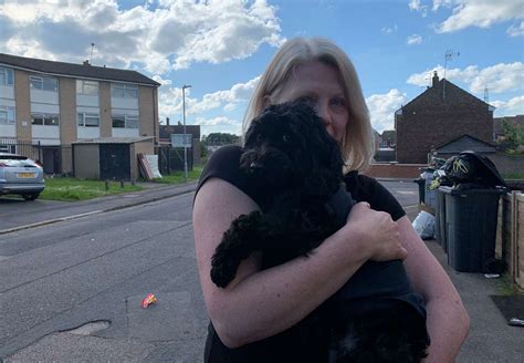Police Seize Dog After Cockapoo Loses Leg In Ashford Attack