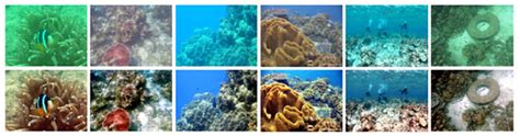 Revitalizing Underwater Image Enhancement In The Deep Learning Era IEEE Signal Processing Society
