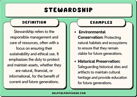 25 Stewardship Examples 2025