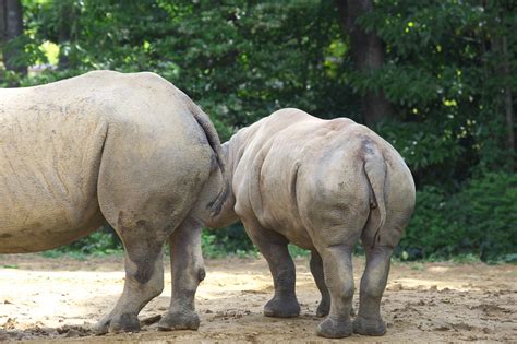 お尻フリフリ お尻フリフリ