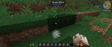 Does Anyone Know Why Some Grass Blocks Look Like This When Using