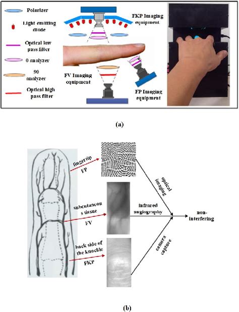 figure 6 from finger multimodal features fusion and recognition based