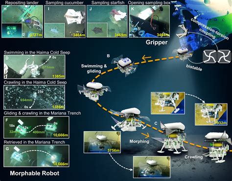 Miniature Deep Sea Morphable Robot With Multimodal Locomotion Science Robotics