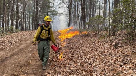 North Fork Fire 65 Contained Us Forest Service Says