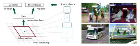 4 left region proposal network rpn right example detections using