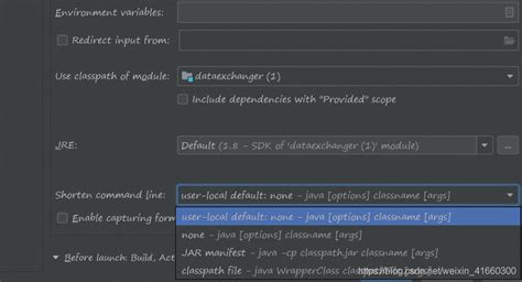 在idea下跑程序 获取classpath的问题systemgetpropertyjavaclasspath Csdn博客