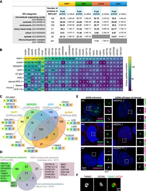 Proteomic Profiling Of Centrosomes Across Multiple Mammalian Cell And