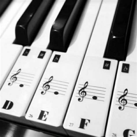 Jual Stiker Label Piano Keyboard Sticker Piano Sticker Tuts Keyboard