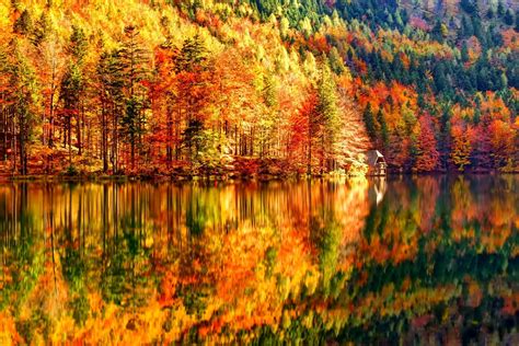 Заставка На Рабочий Стол Осень 70 фото