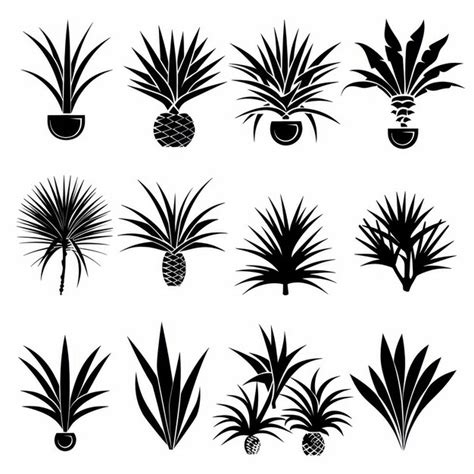 Premium Photo Dracaena Vand Pot Plant Icon Set Dracaena Black White