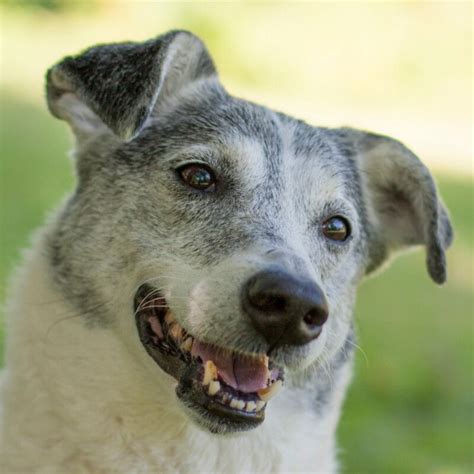 Layda In Lauf A D Pegnitz Bayern Snautz De