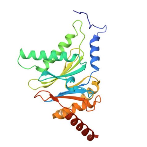 Rcsb Pdb 8jrt Cryo Em Structure Of Human 26s Proteasomal Rp