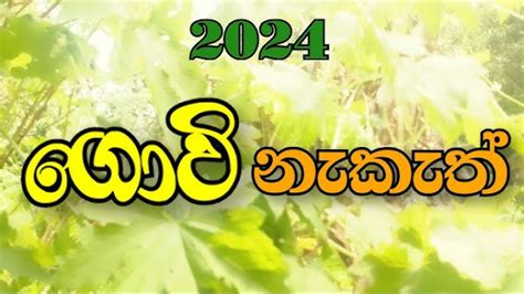 2024 Govi Nakath 2024 Govi Litha ගොවි ලිත 2024 සියලු වගාවන් සදහා
