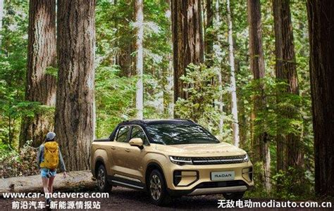 电动皮卡汽车十大名牌排名及价格，电动皮卡哪个品牌好 Carmeta