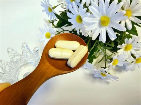 칼슘 마그네슘 비타민d 효능 복용시간 권장량 고르는법 총정리 네이버 블로그