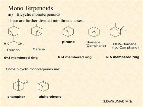 Terpenoids Pptx